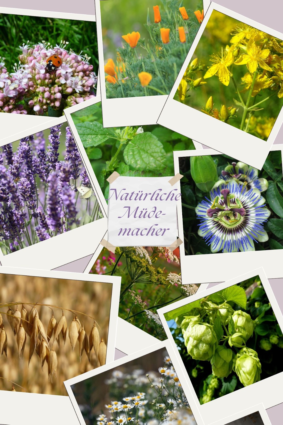 Natürliche Müdemacher - Endlich gut schlafen Teil 4 - Schneppat-Music